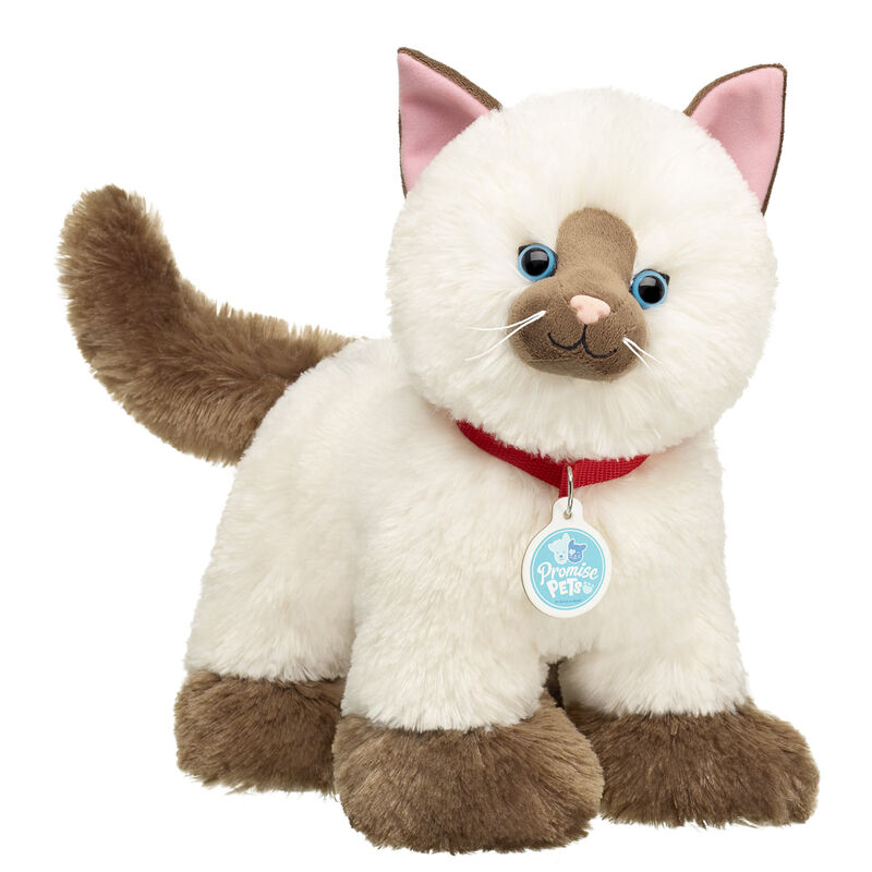 Promise Pets™ Ragdoll Kitten Stuffed Animal | Build-A-Bear