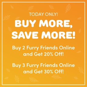 Pokémon Giant-Sized Charizard Plush Bundle | Build-A-Bear®