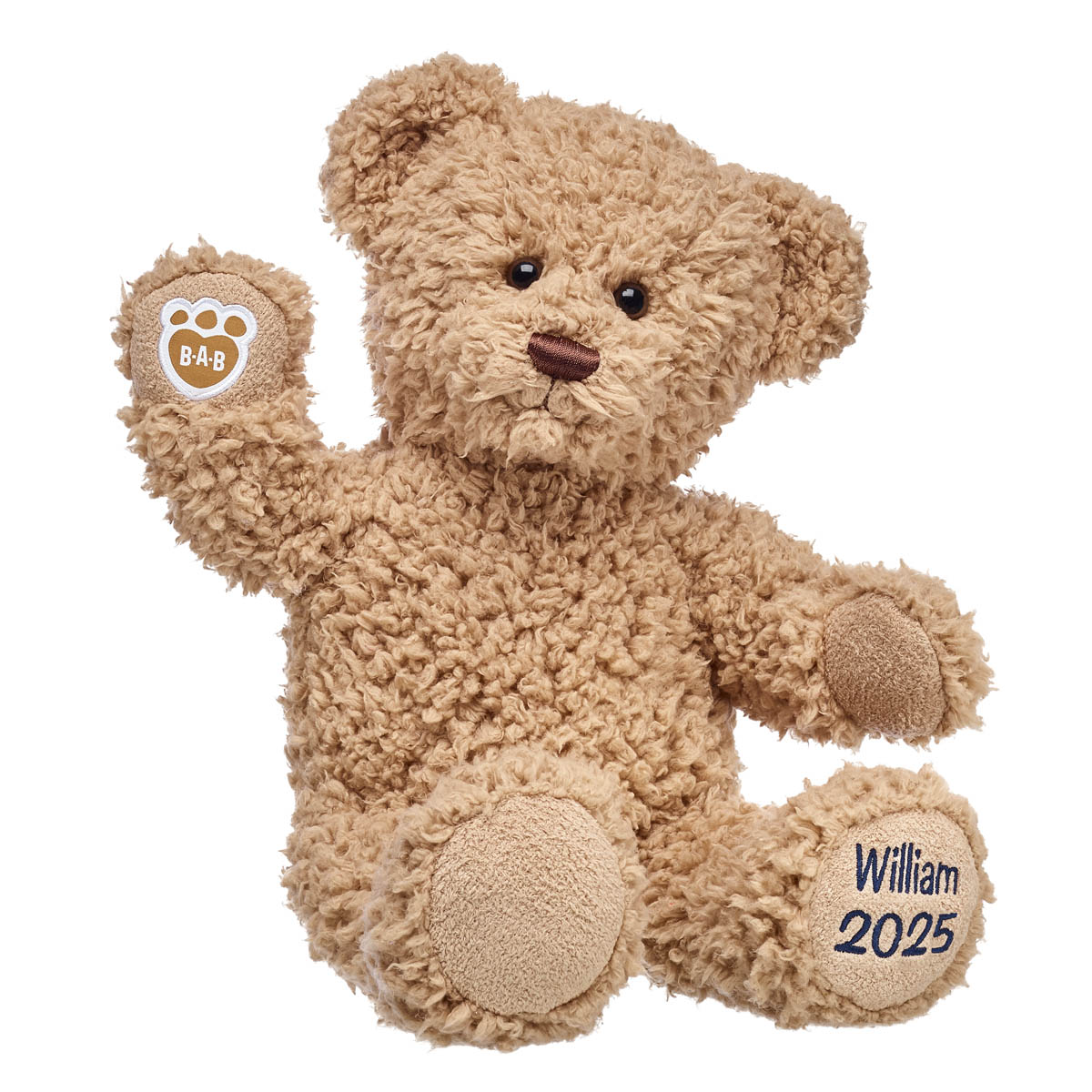 Embroidered Teddy Bear | Online Exclusive Gift | Shop at Build-A-Bear®